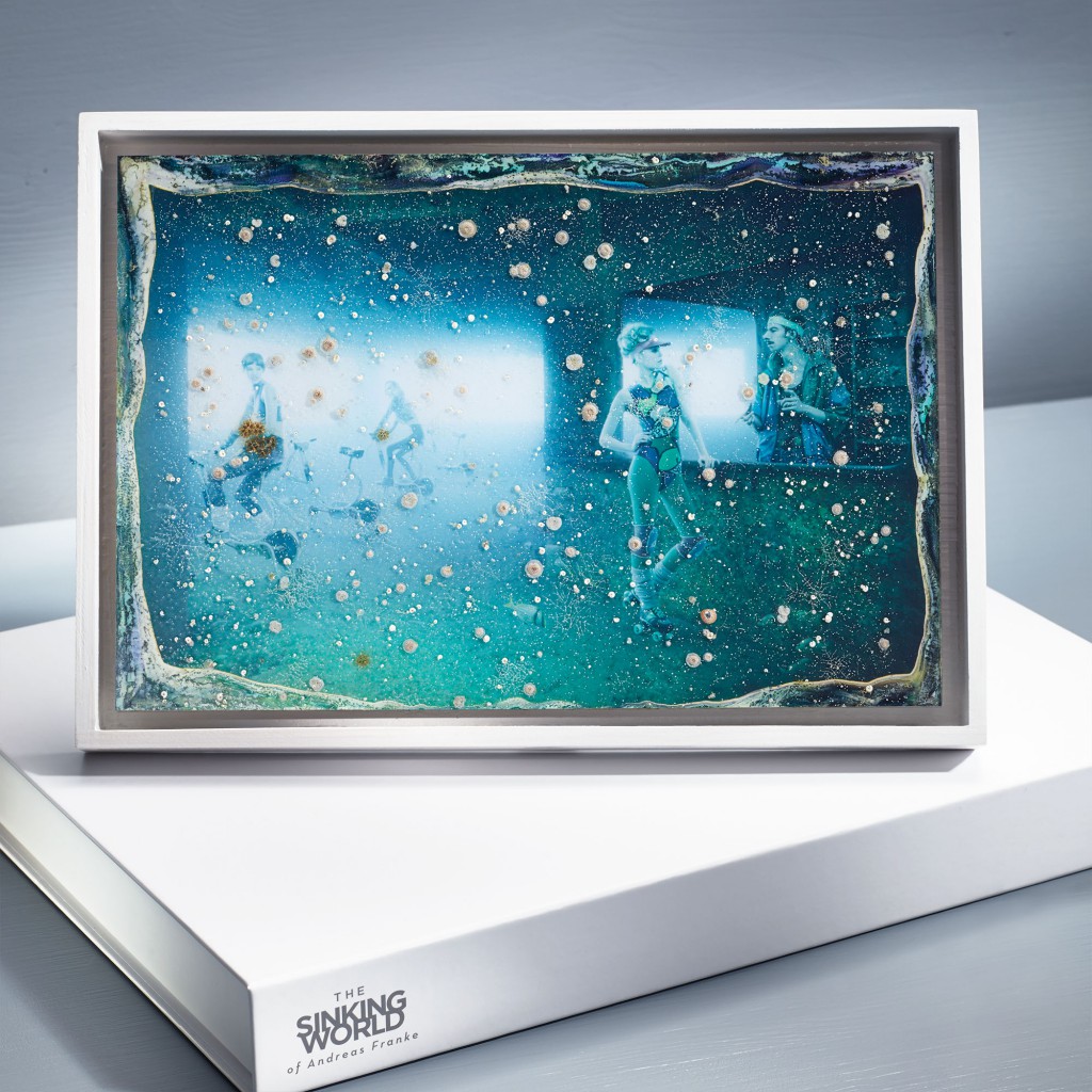 categoriesSportySusan